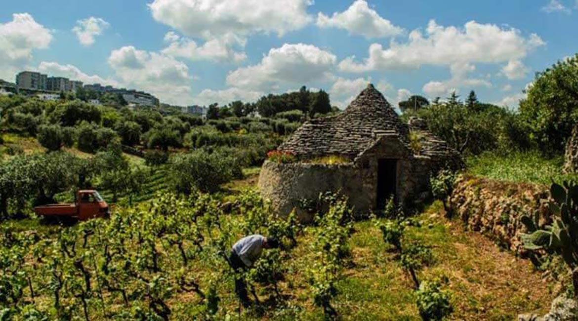 Južna Italija – Regija Pulja - Palilula.info