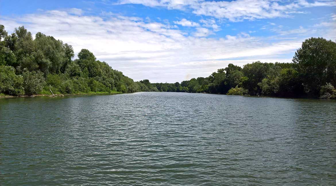 Male Vode iliti Turski Dunavac - Palilula.info