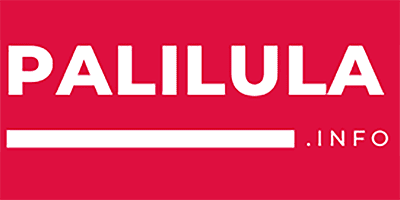 građansko učešće - Palilula.info
